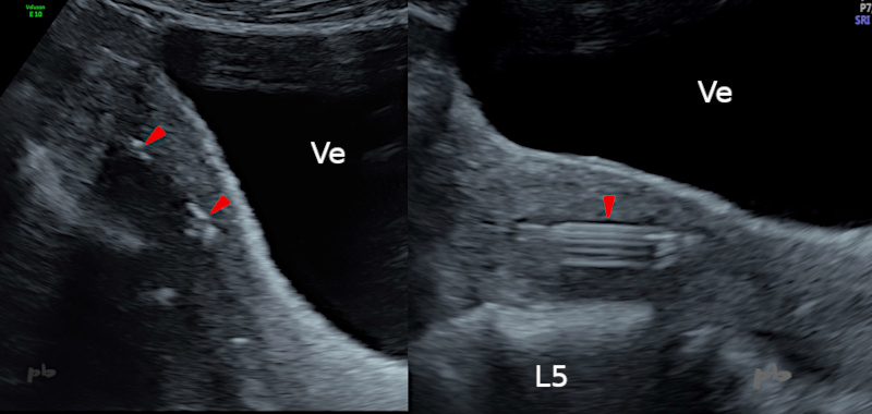 DIU – Page 1 – CGLRE